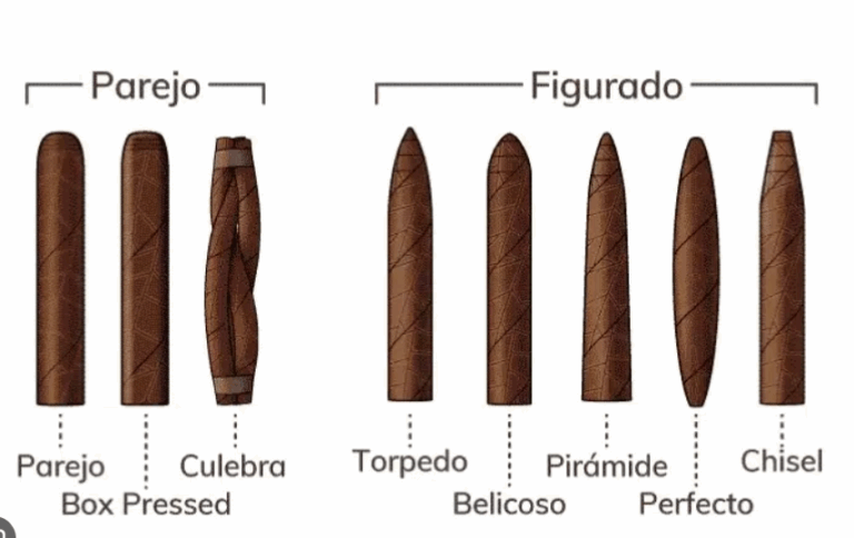 Tailles et formats de cigares : Guide complet et simple